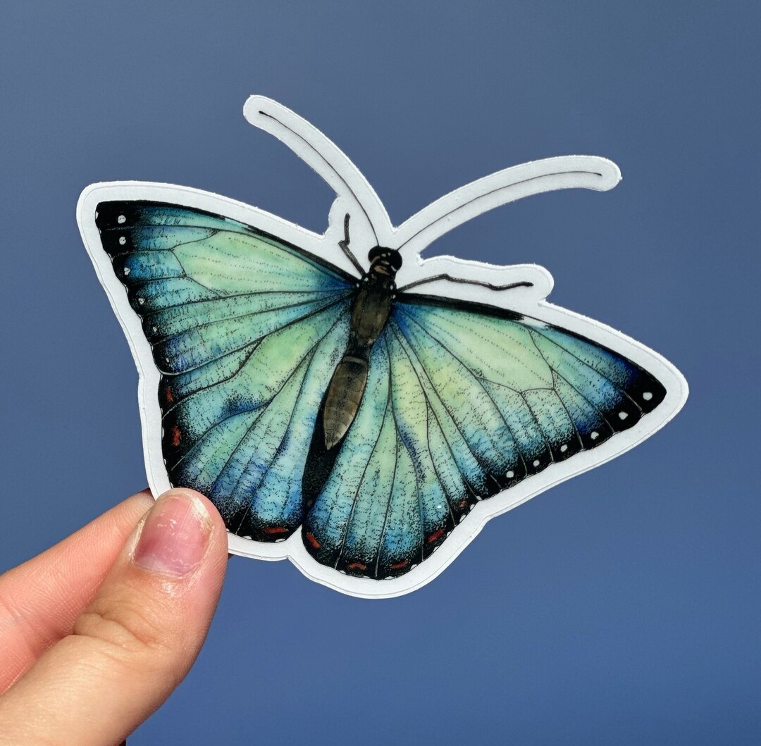 Blue Butterfly Sticker Transparent Water Bottle Sticker Realistic ...
