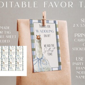 Silly Goose Theme 1st Birthday Party Decor Boy One Silly Goose Party ...