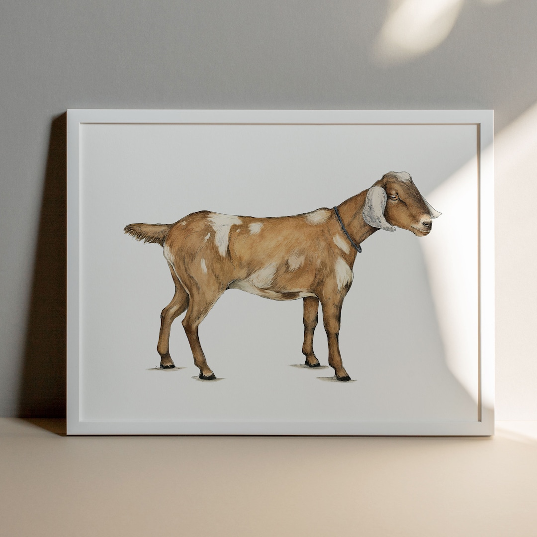 Goat Lover's Gift Nubian Goat Print Goat Decor Goat Wall Art Farm Print ...