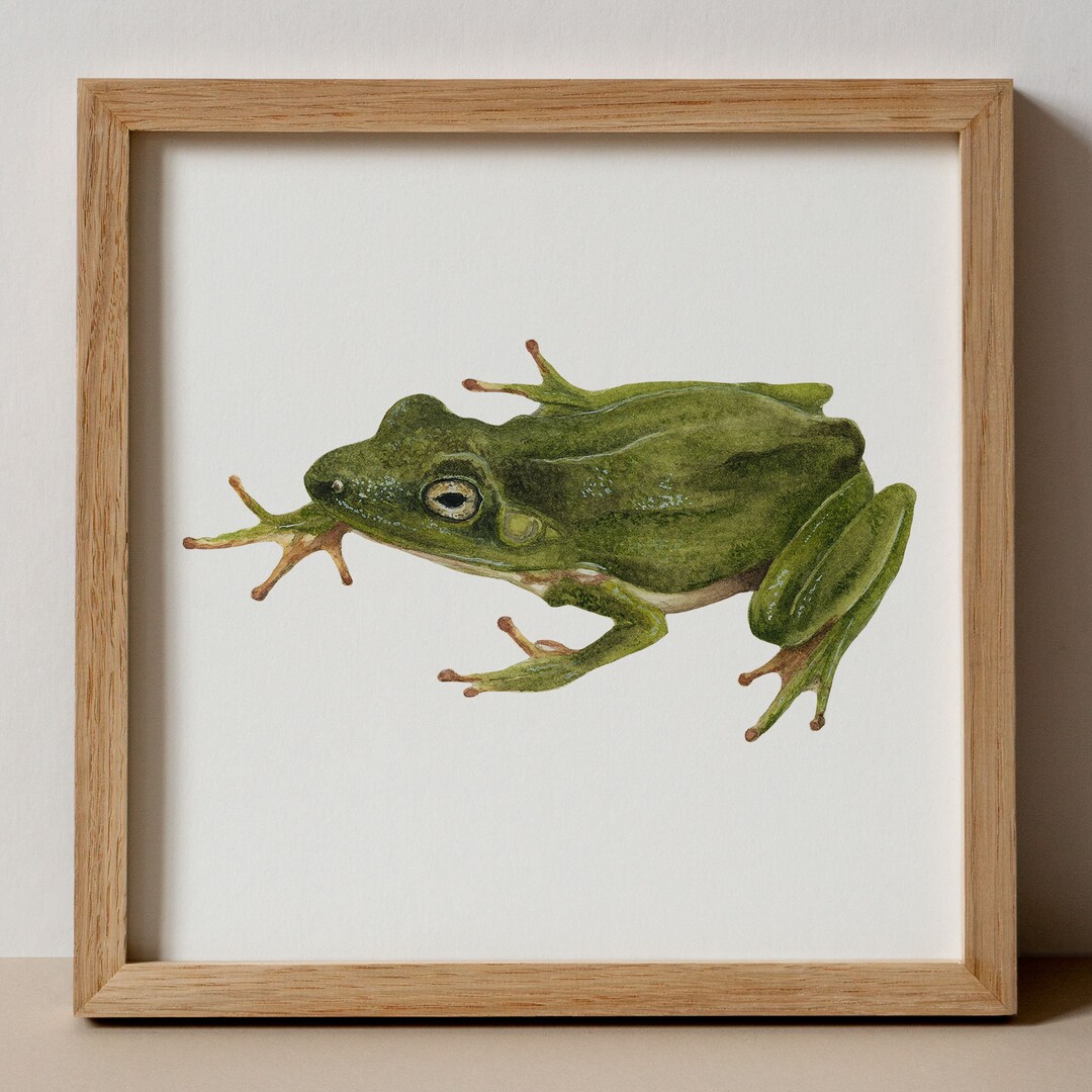 Tree Frog Print Amphibian Art Woodland Room Decor Frog Wall Art ...