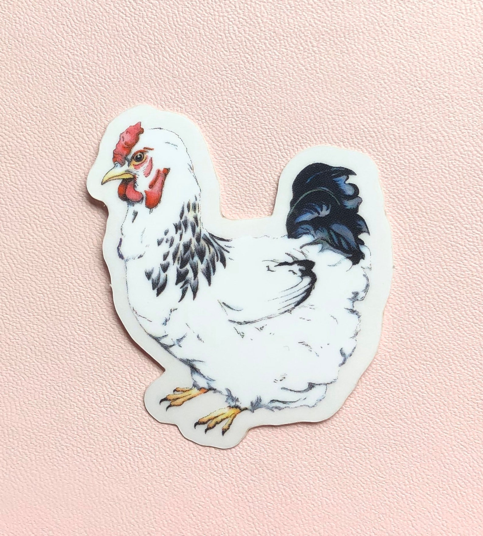 Chicken Sticker Chicken Chicken Stationary Outdoor | Etsy