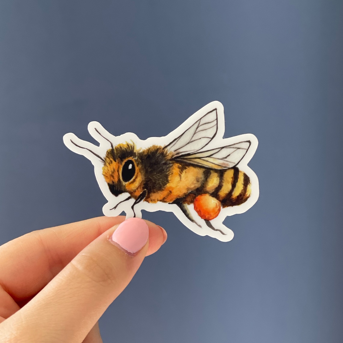 Bee Sticker Honeybee Sticker Vinyl Bee Sticker Set - Etsy