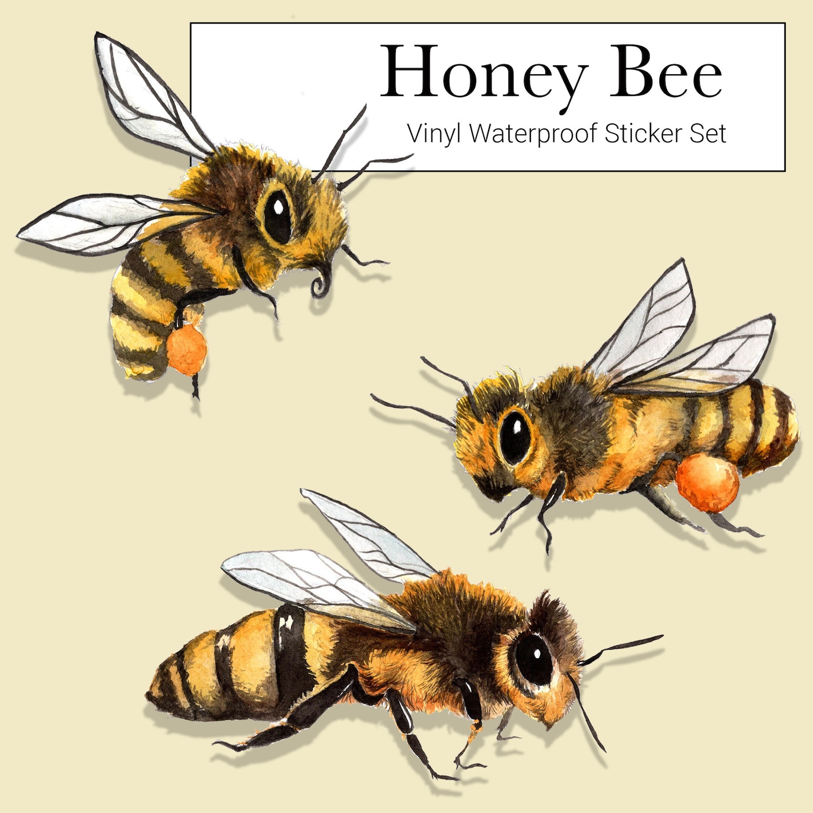 Bee Sticker Honeybee Sticker Vinyl Bee Sticker Set - Etsy