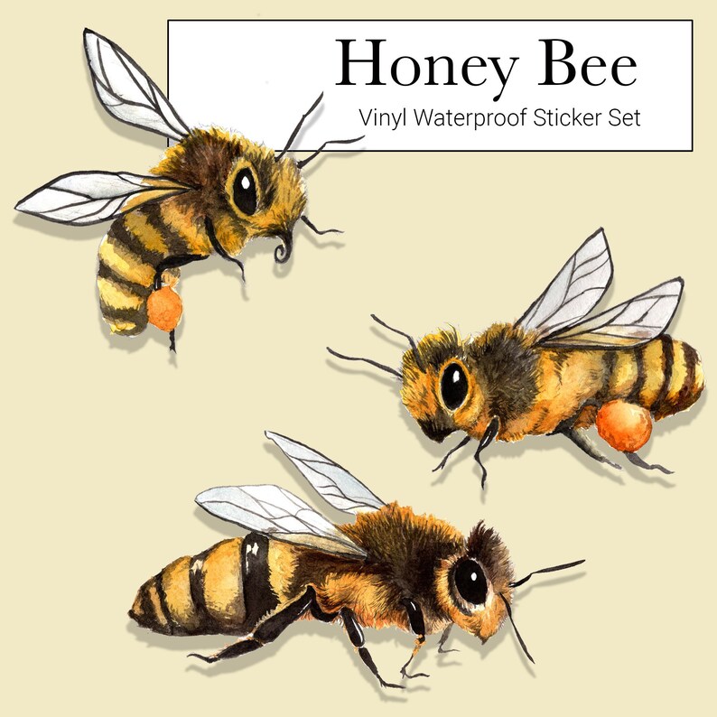 Bee Sticker Honeybee Sticker Vinyl Bee Sticker Set Waterproof Bee ...