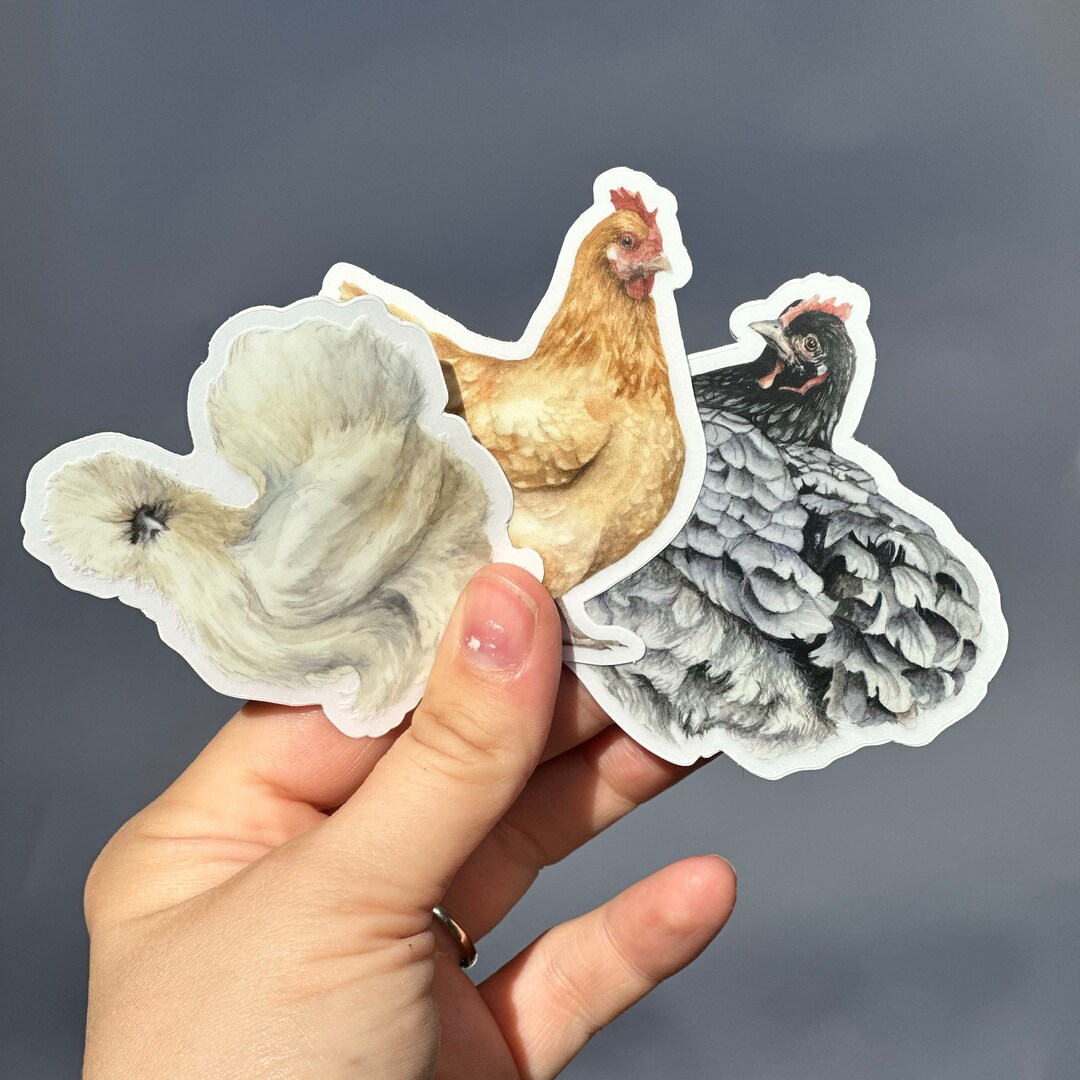 Chicken Sticker Set Cute Animal Stickers Pack Chicken Gifts Water ...