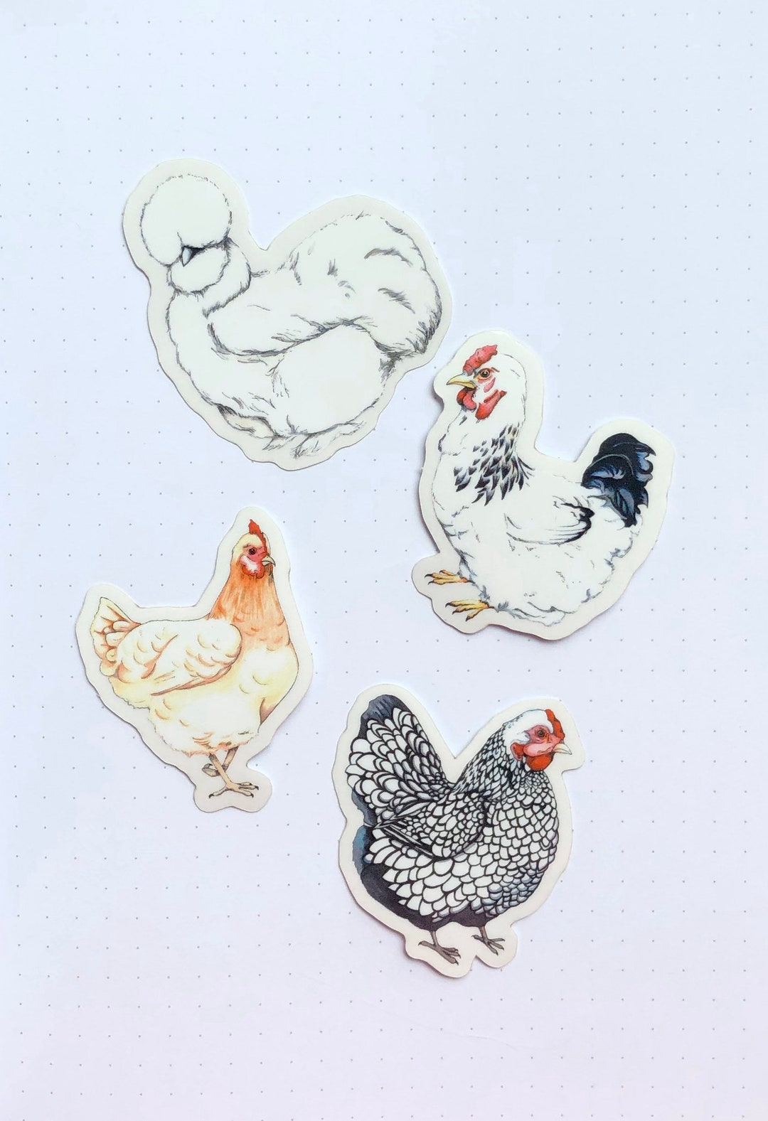 Chicken Sticker Chicken Stationary Outdoor Stickers Vinyl Stickers ...