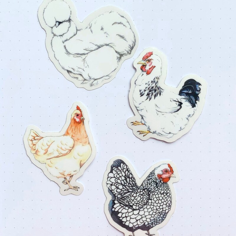 Chicken Stationary - Etsy