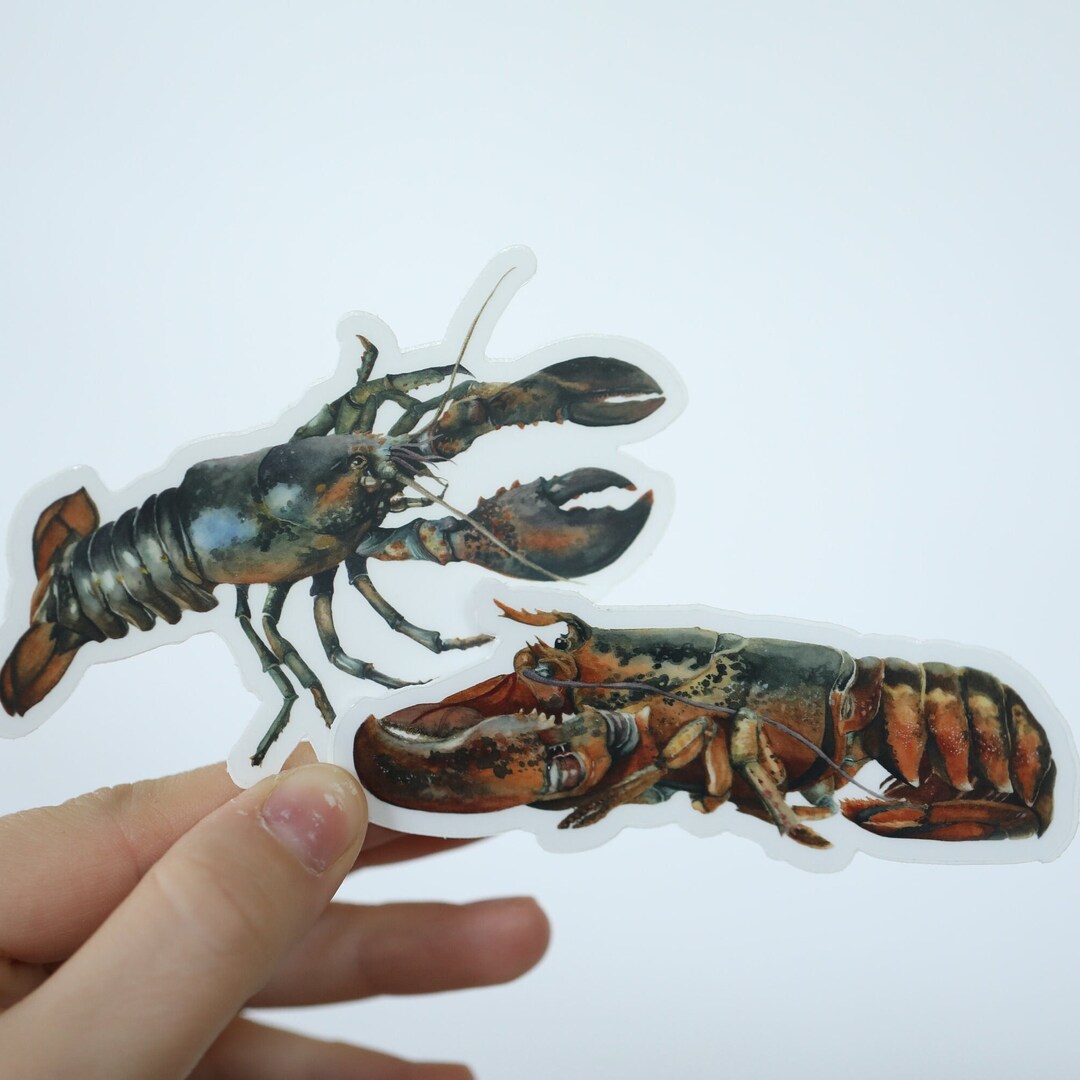 Lobster Sticker Pack He's My Lobster Sticker Set Clear Vinyl Sticker ...