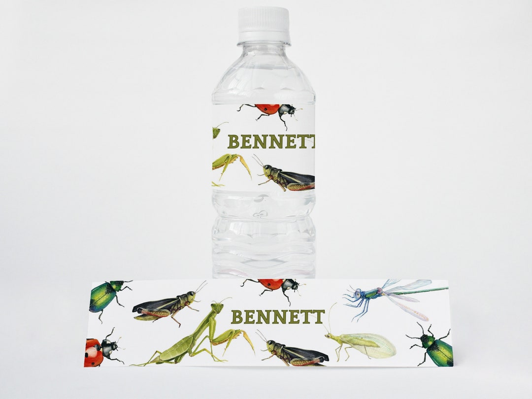 Editable Boys Theme Birthday Bug Birthday Water Bottle Label Bug Theme ...