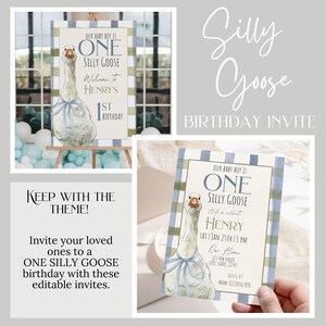 Silly Goose Theme 1st Birthday Party Decor Boy One Silly Goose Party ...