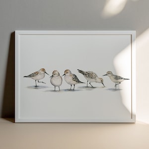 Sandpiper Wall Art Coastal Wall Art Shore Bird Watercolor Sandpiper ...