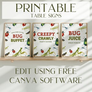 Bug Table Sign Bundle Find the Hidden Bugs Game Insect Birthday Game ...