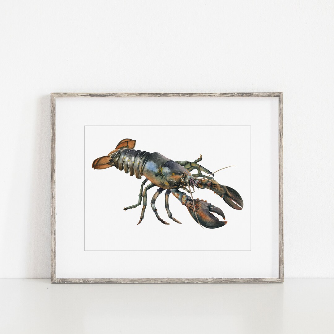 Lobster Art Sea Life Wall Art Modern Coastal Art Lobster Decor Cape Cod ...