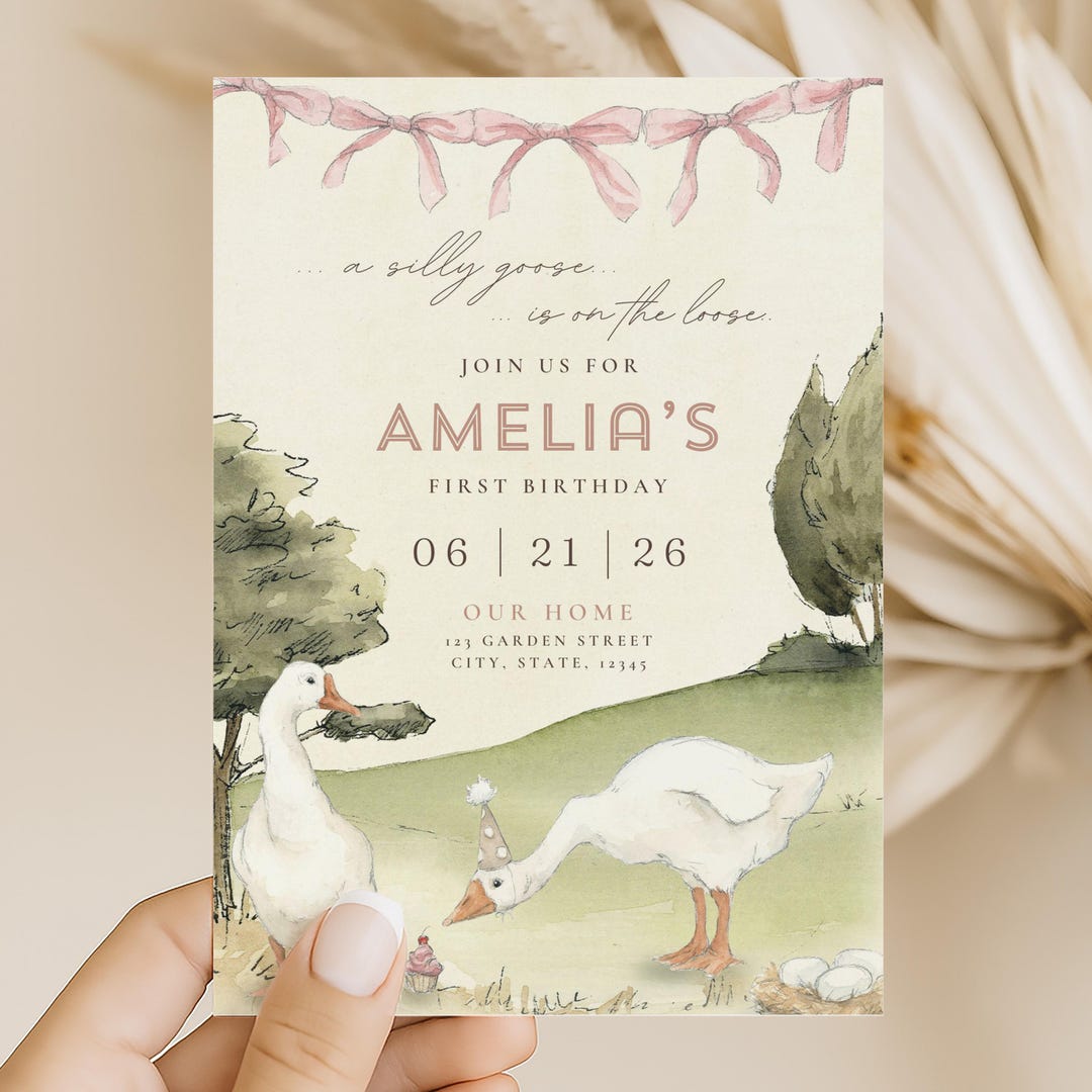 Silly Goose on the Loose Birthday Invitation Girl 1st Birthday Invite ...
