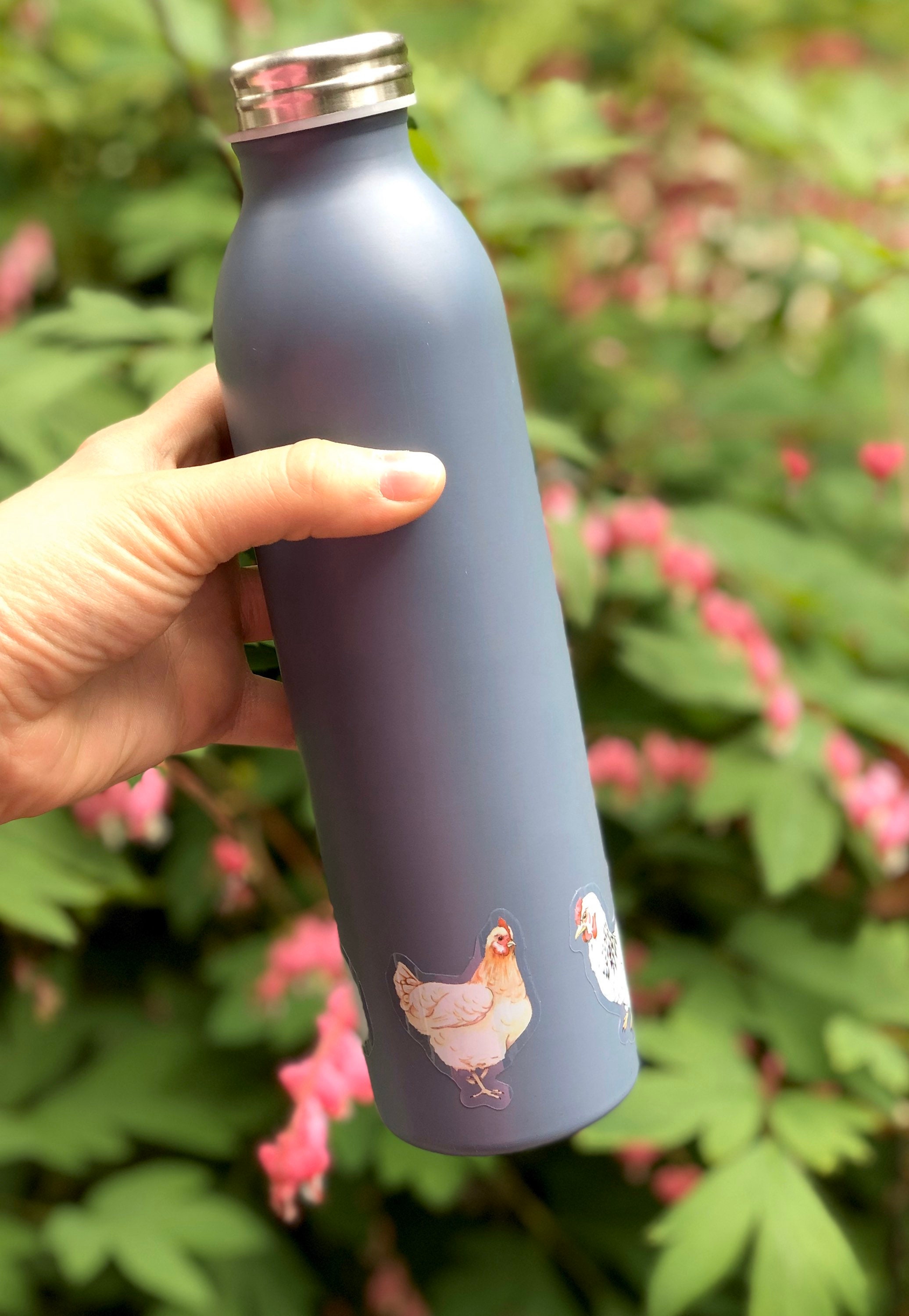 Chicken sticker chicken chicken stationary outdoor | Etsy