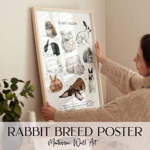 Rabbit Breed Poster Animal Montessori Poster Kid Playroom Decor Farm ...