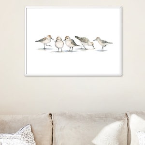 Sandpiper Wall Art Coastal Wall Art Shore Bird Watercolor Sandpiper ...