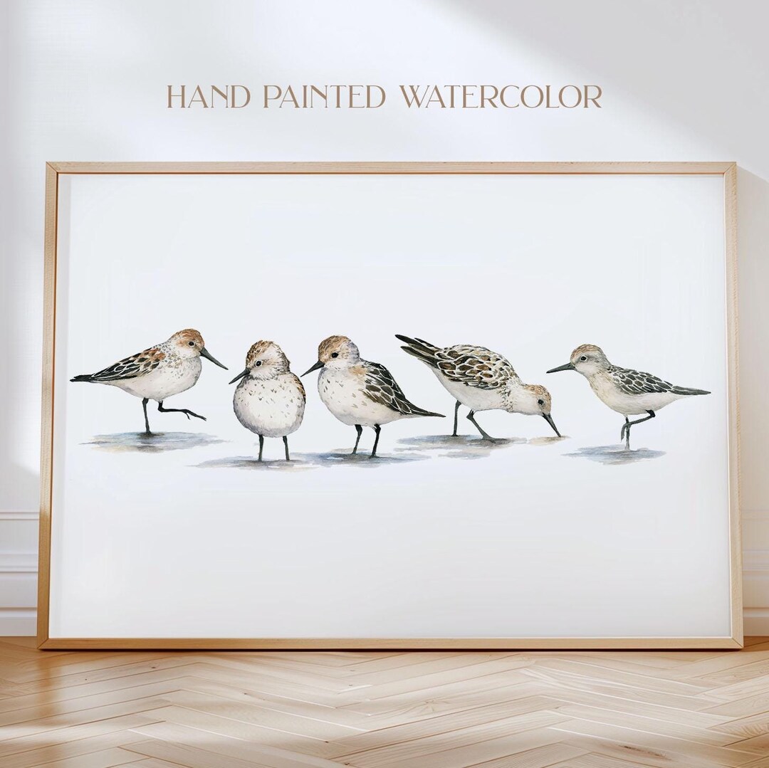 Coastal Wall Art Sandpiper Art Coastal Beach Art Beach House Decor ...
