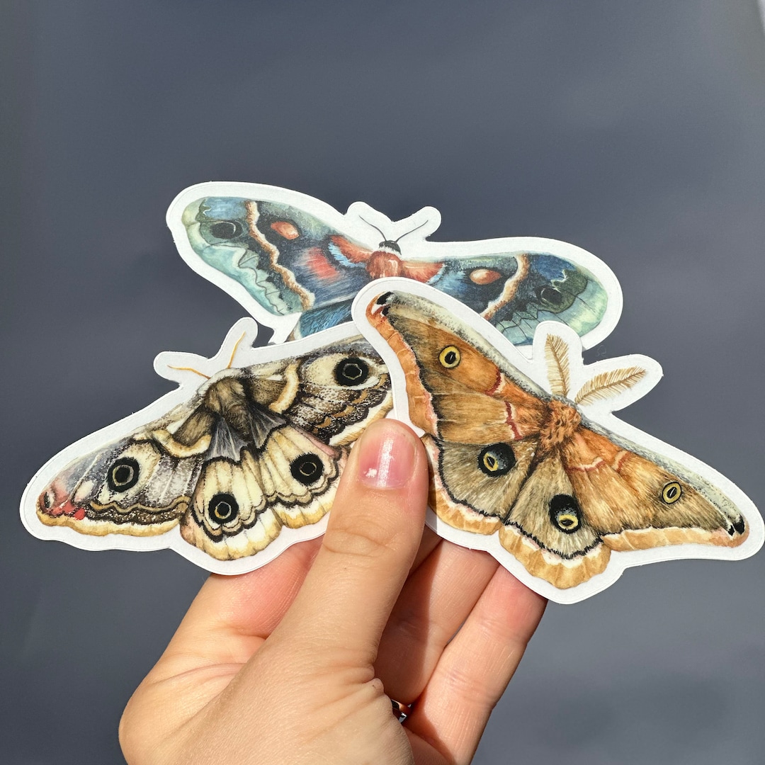 Cottagecore Moth Sticker Pack Woodland Sticker Moth Car Decal Sticker ...
