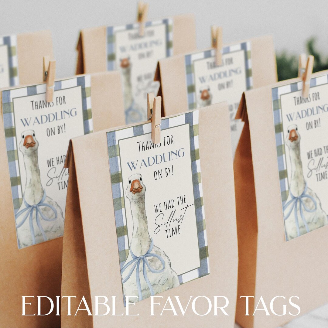 Silly Goose Theme 1st Birthday Party Decor Boy One Silly Goose Party ...