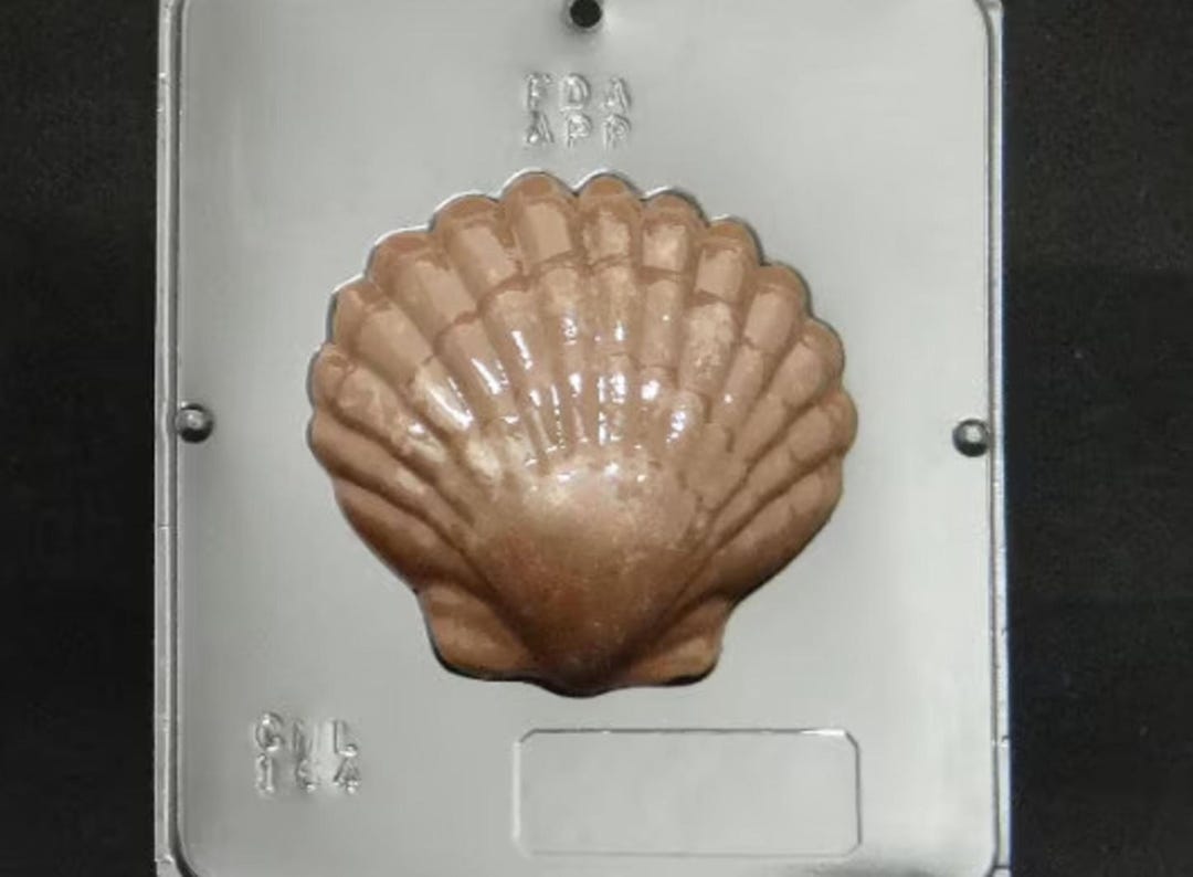 Large Sea Shell Candy Mold for Chocolate Candy Making 164 - Etsy