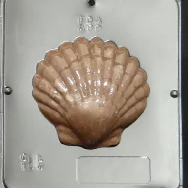 Sea Shell Mold - Etsy