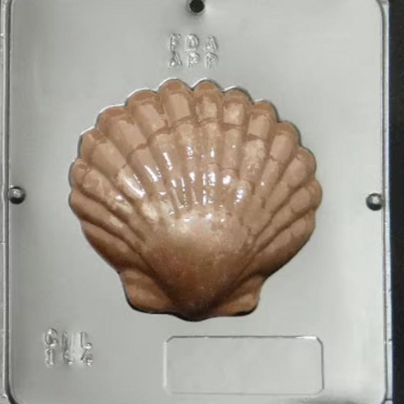 Sea Shell Mold - Etsy