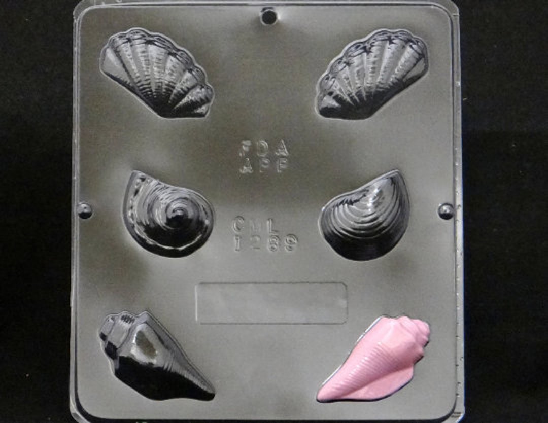 Sea Shells Assembly Chocolate Candy Mold 1289 - Etsy