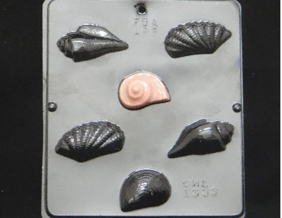 Seashells Sea Shells Chocolate Candy Mold 1333 - Etsy