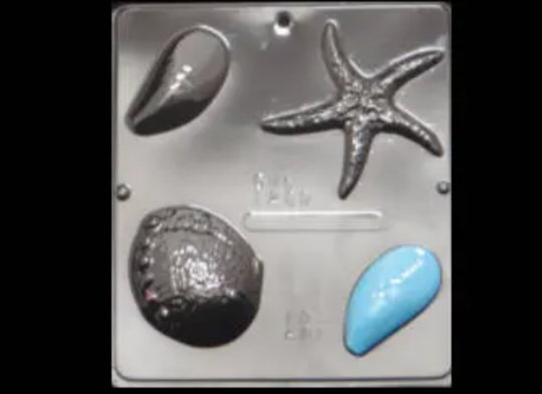 Ocean Assortment Starfish Mussel Shell Chocolate Candy Mold 1269 - Etsy