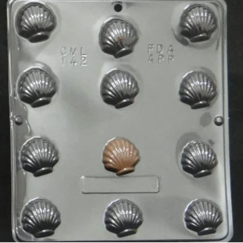 Sea Shell Mold - Etsy