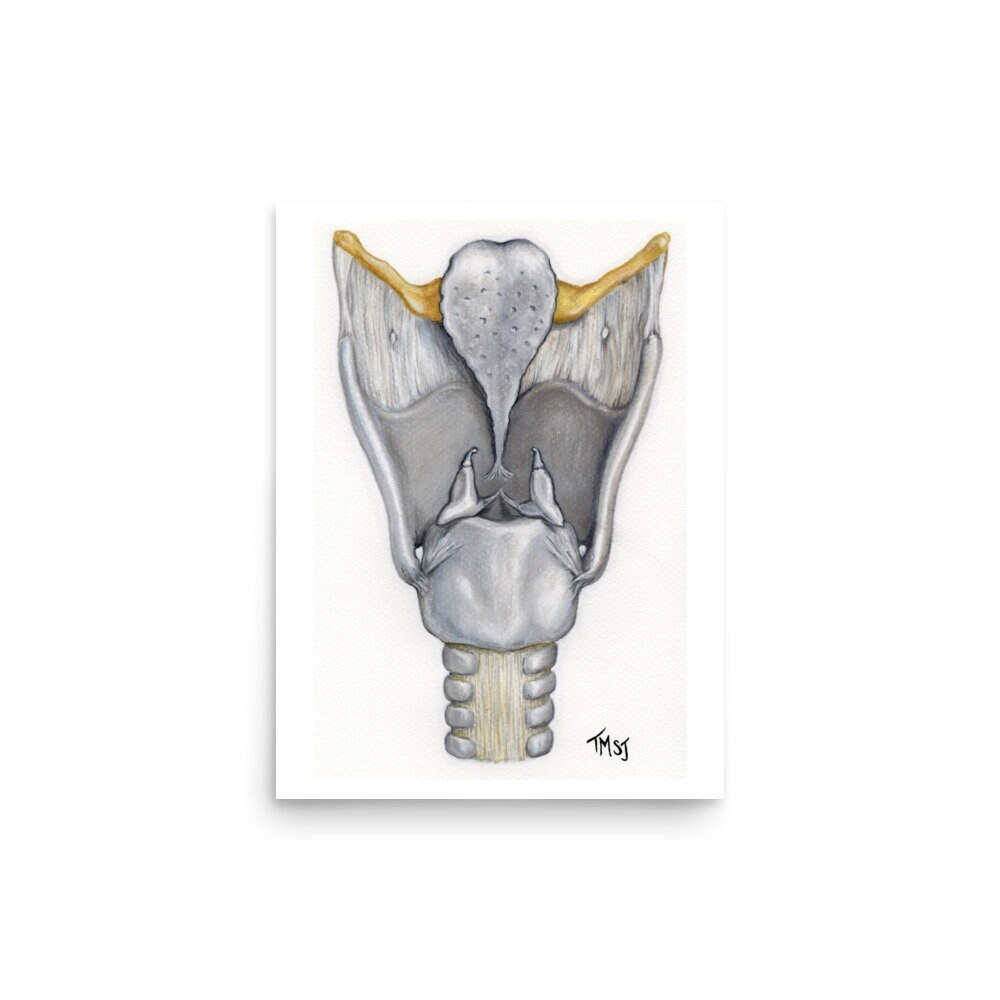 Posterior View of the Larynx Drawing - Etsy