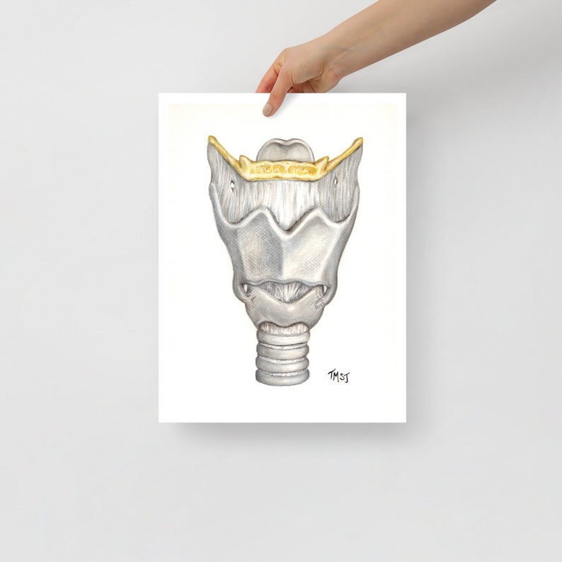 Anterior View of the Larynx Drawing - Etsy