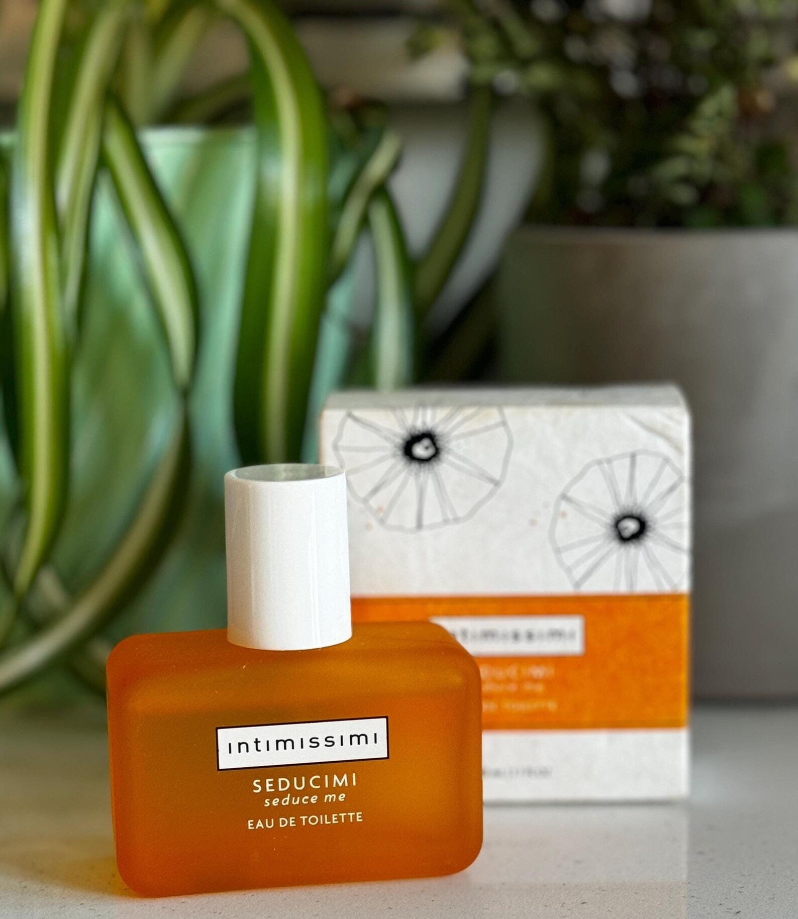 Intimissimi Seducimi Perfume Eau De Toilette 50ml 1.7 Fl. Oz. - Etsy