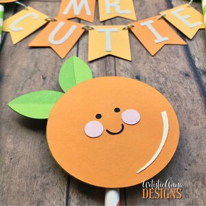 Lil Cutie Orange Cake Bunting Topper & Kawaii Orange Cake Topper (2 Pc ...