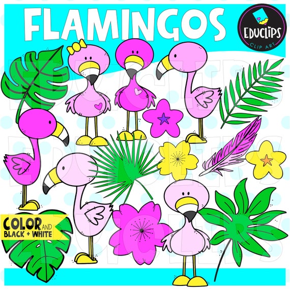 Flamingos Clip Art Summer Graphics Bird Images COMMERCIAL - Etsy