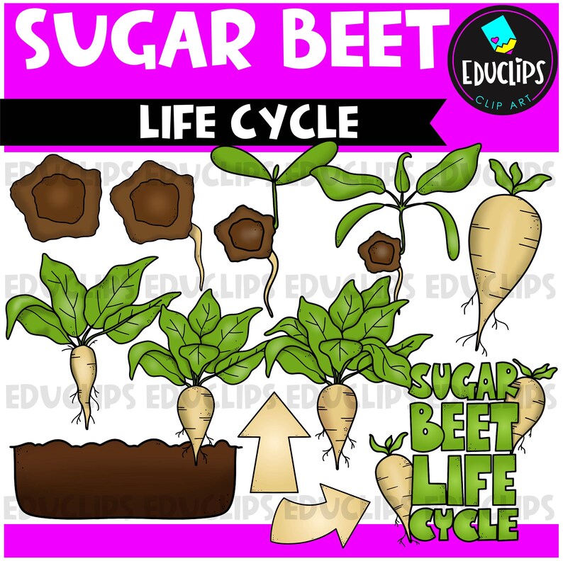 Seed to Harvest Life Cycles Clip Art Bundle - Etsy