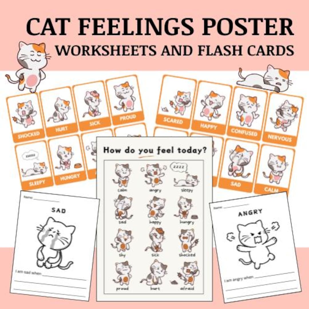 Cat Feelings Poster & Flash Cards: Emotions Lesson Printables (digital ...