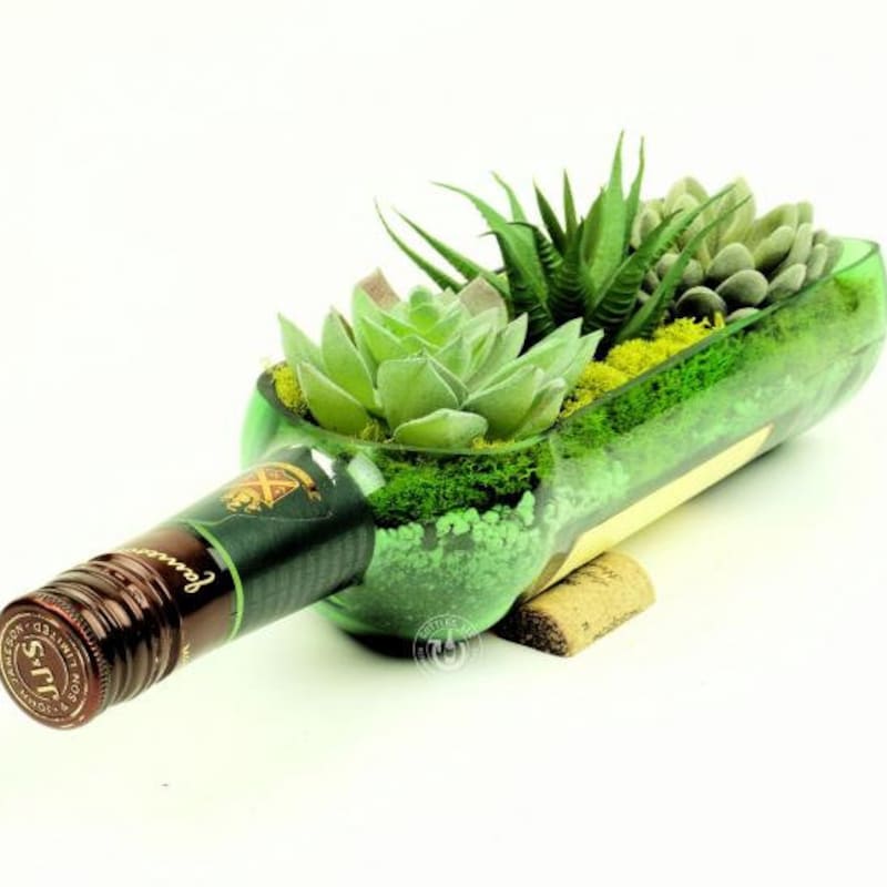 Irish Planter - Etsy