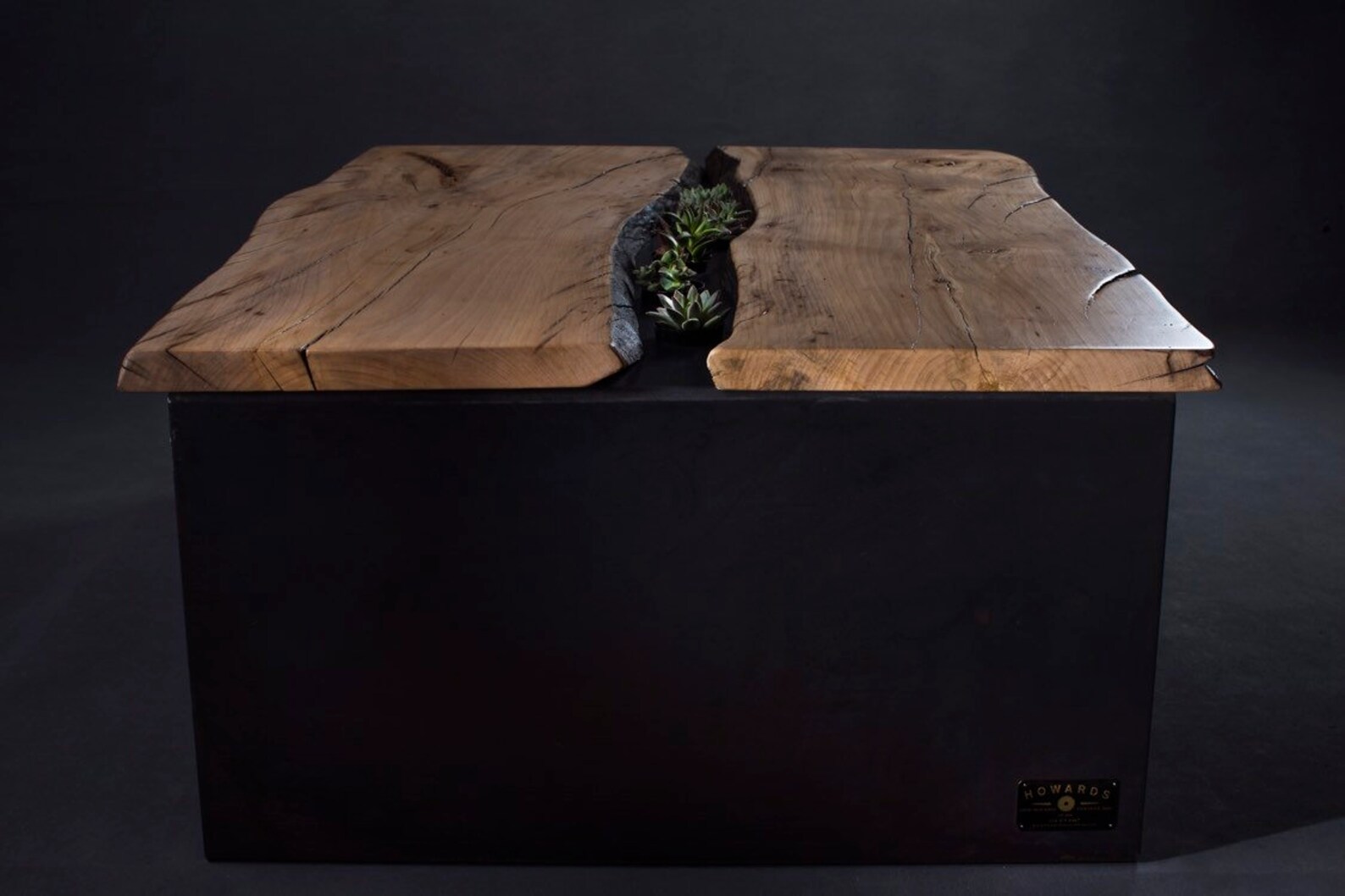 Succulent Coffee Table. Live Edge Maple With a Metal Base. - Etsy