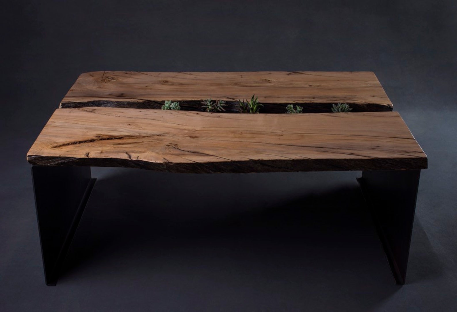 Succulent Coffee Table. Live Edge Maple With a Metal Base. - Etsy