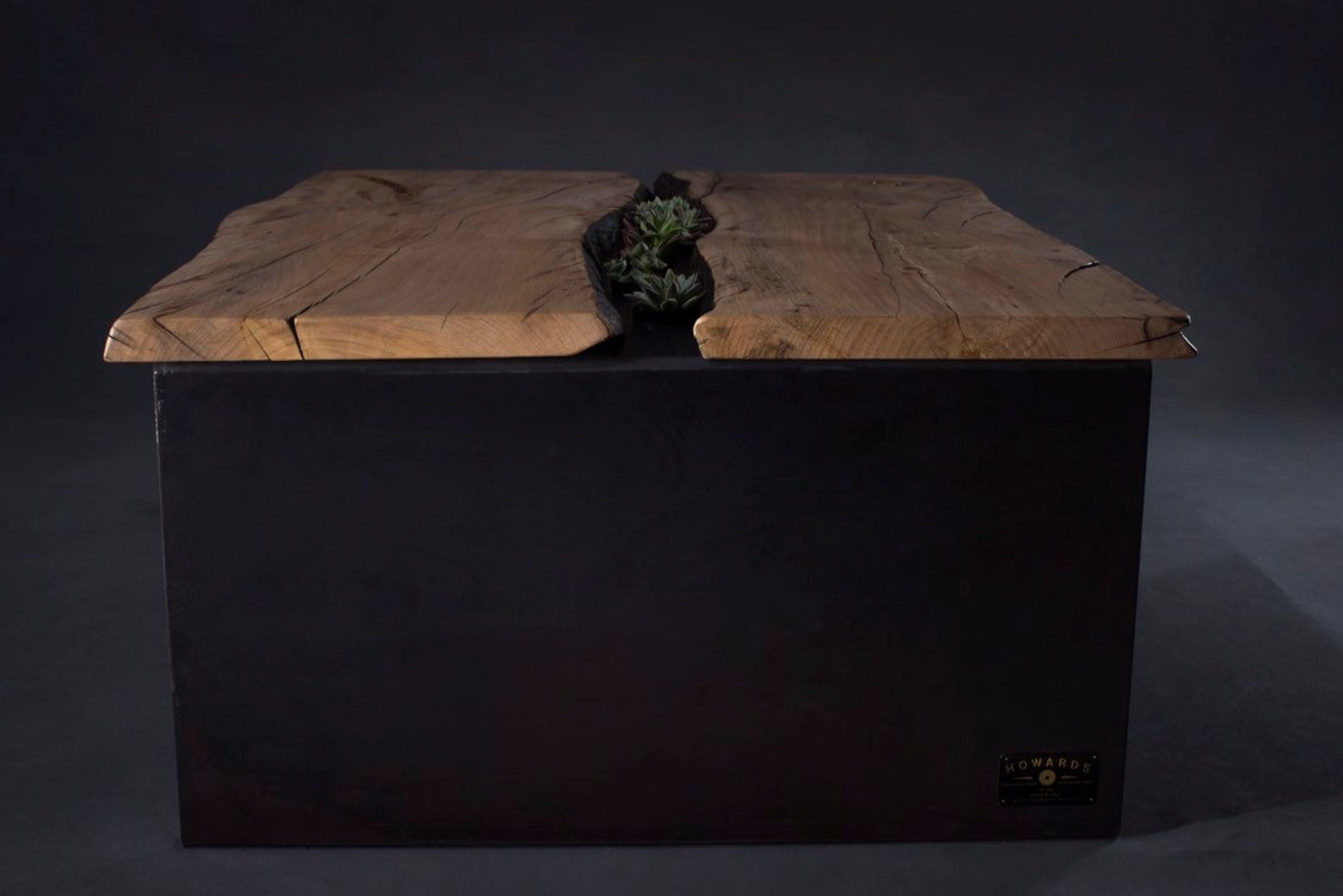 Succulent Coffee Table. Live Edge Maple With a Metal Base. - Etsy