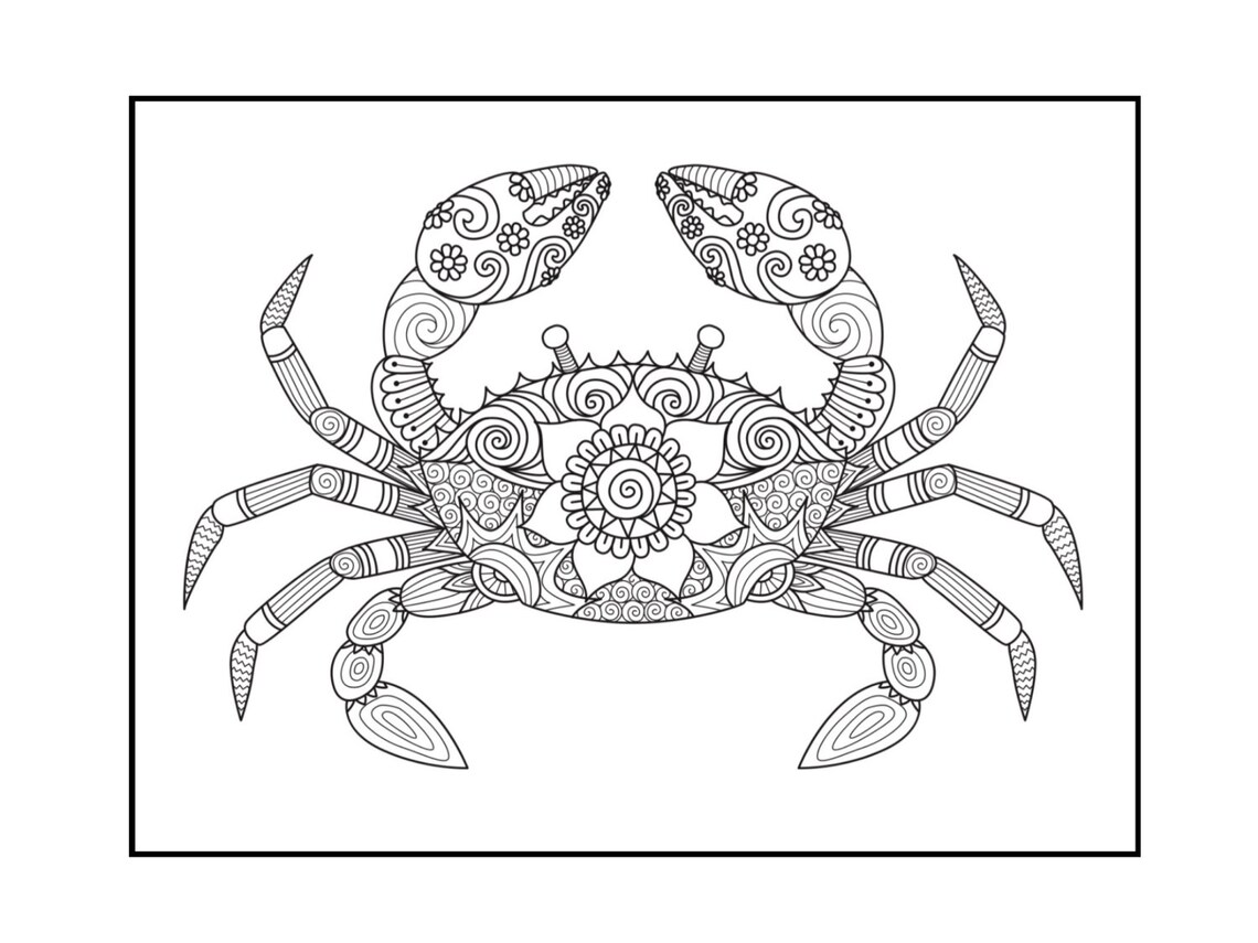 Set of 5 - Zentangle Digital Colouring Sheets of Marine Animals - Etsy