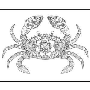 Set of 5 - Zentangle Digital Colouring Sheets of Marine Animals - Etsy