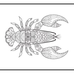 Set of 5 - Zentangle Digital Colouring Sheets of Marine Animals - Etsy