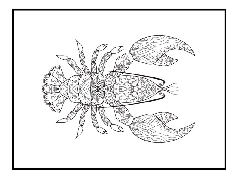 Set of 5 - Zentangle Digital Colouring Sheets of Marine Animals - Etsy