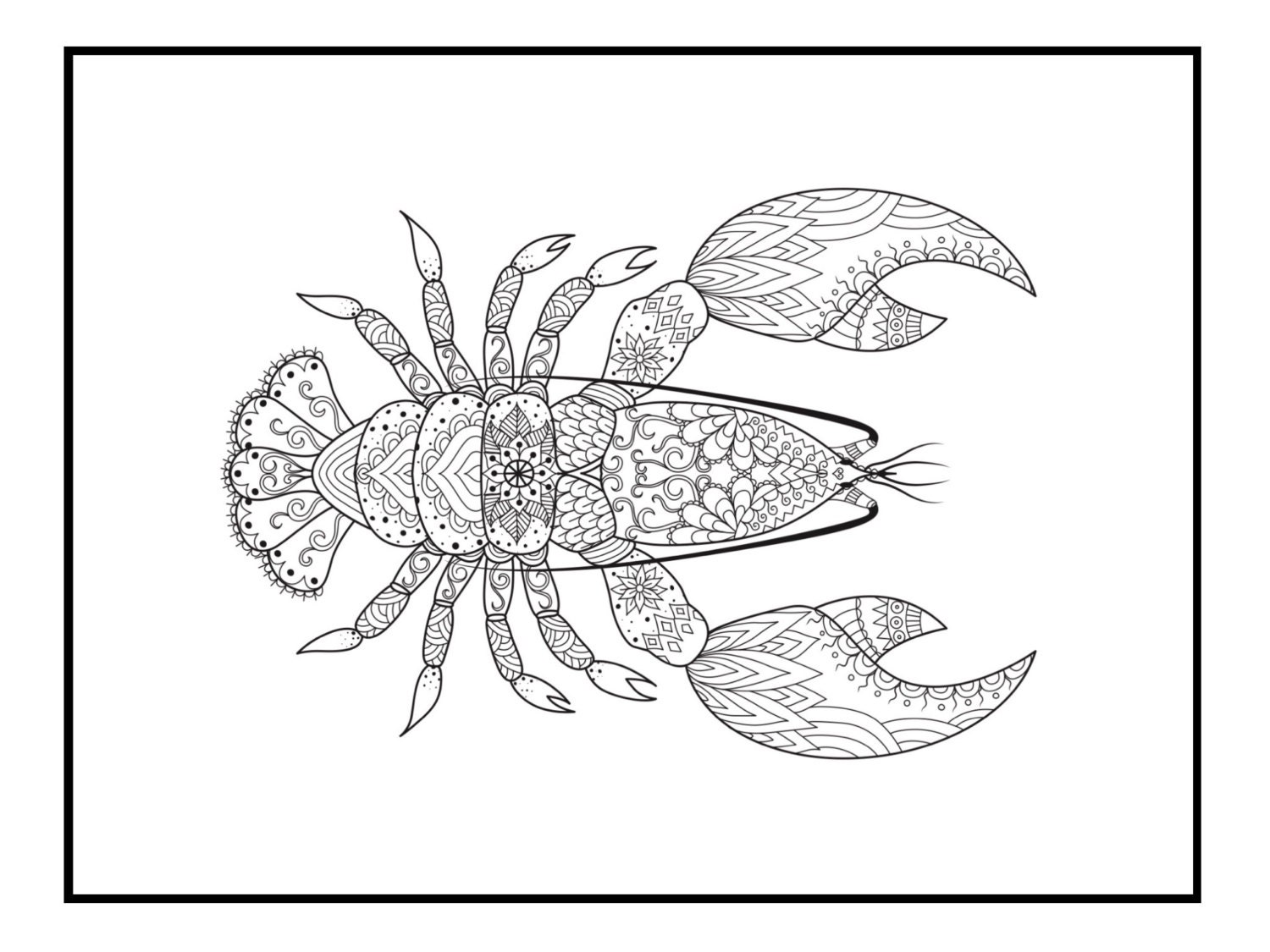 Set of 5 - Zentangle Digital Colouring Sheets of Marine Animals - Etsy
