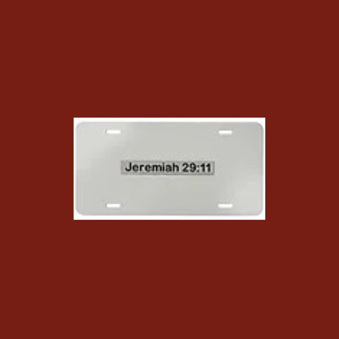 Jeremiah 29:11 Mirrored Scripture License Plate - Etsy