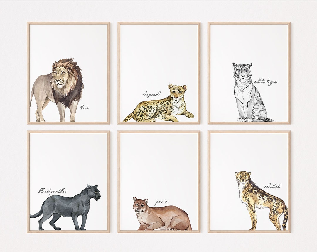 Big Cats Printable Wall Art - Lion Tiger Puma Leopard Printables ...