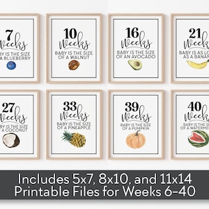 Weekly Pregnancy Signs Printable - Baby Size Week by Week - Weekly ...